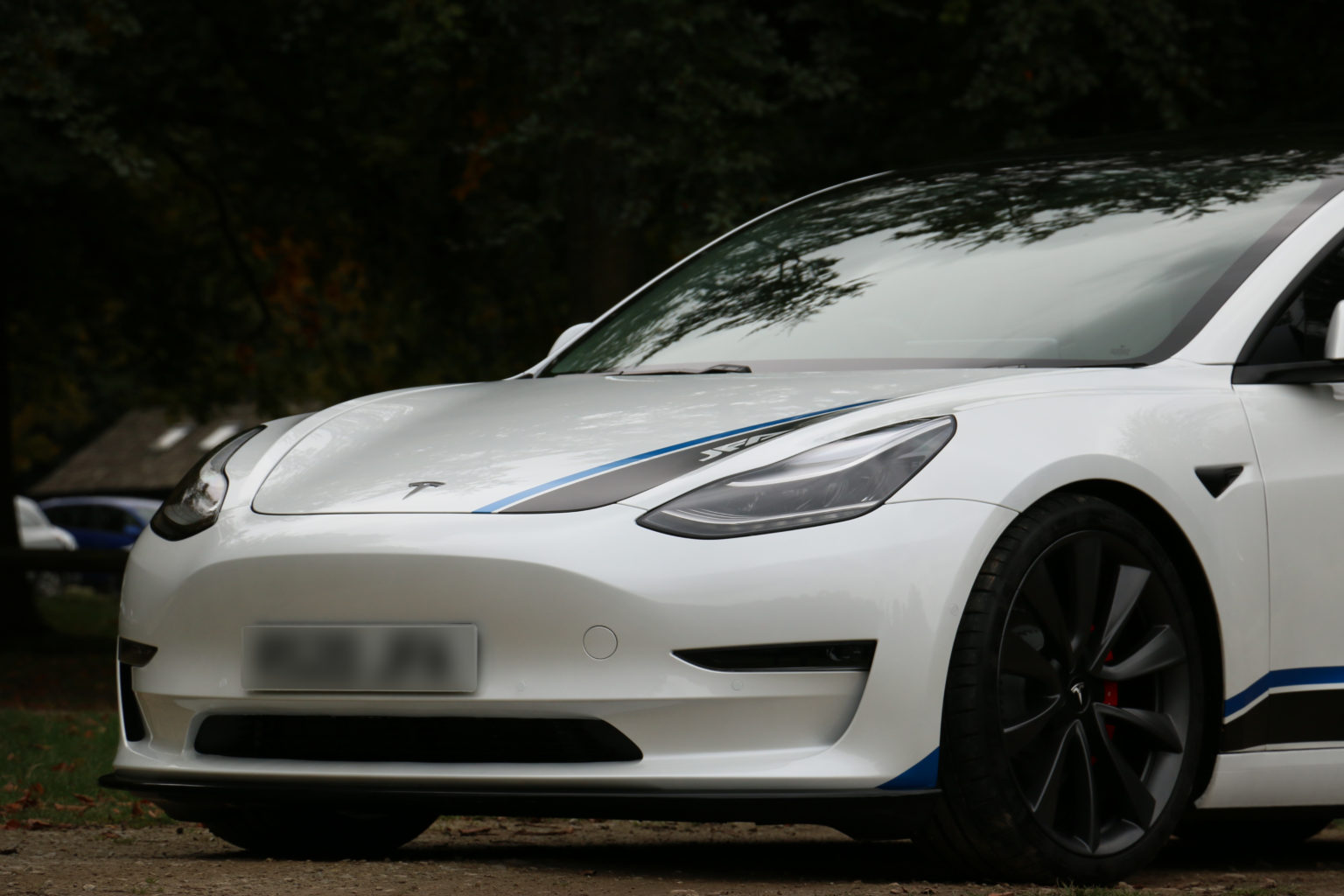 Tesla Model 3 Styling and Lowering > Maidstone, Kent